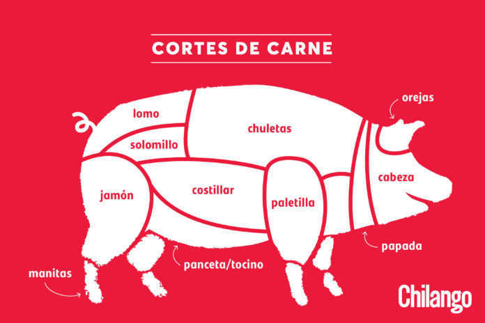 Partes de un cerdo: su despiece desde la nariz hasta la cola