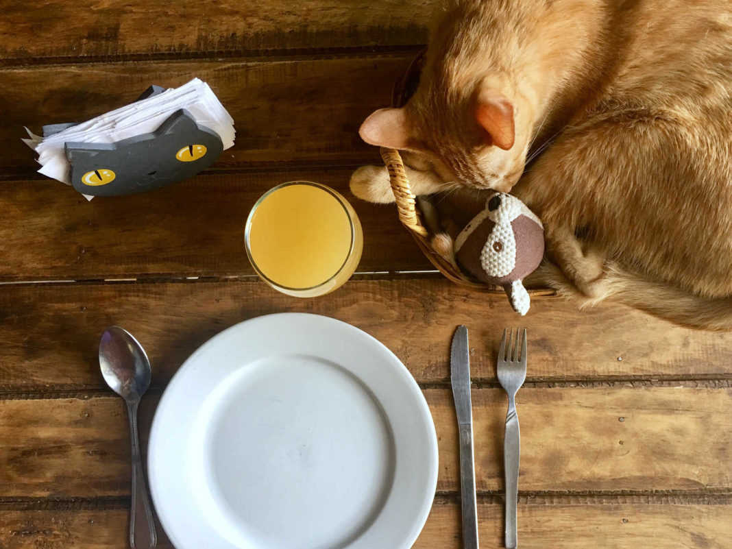 Cinco restaurantes pet friendly que todo animal lover debe conocer