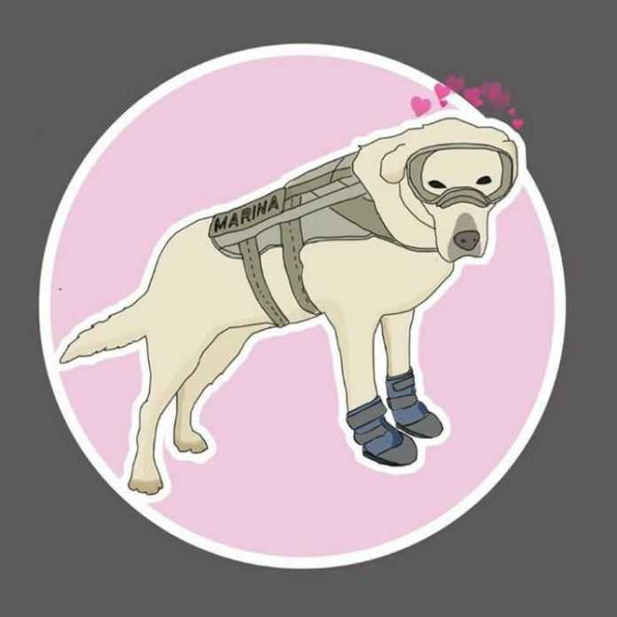 chilango - Frida, la perra rescatista, ya tiene su propio mural en la Roma