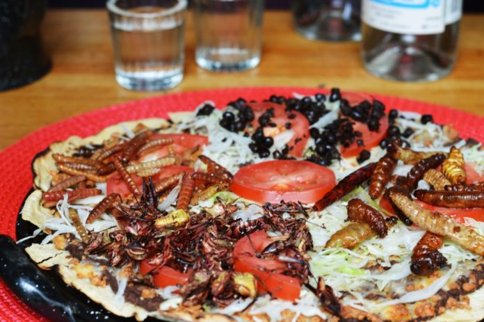 chilango - ¡A comer bichos! Siete restaurantes con menú especial de ...