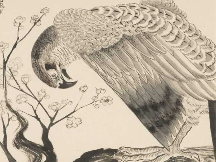 chilango - La nueva exposición de Dr. Lakra un nuevo vistazo al oriente