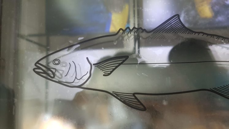 Chilango - Smart Fish, la primera pescadería 100% sustentable de CDMX
