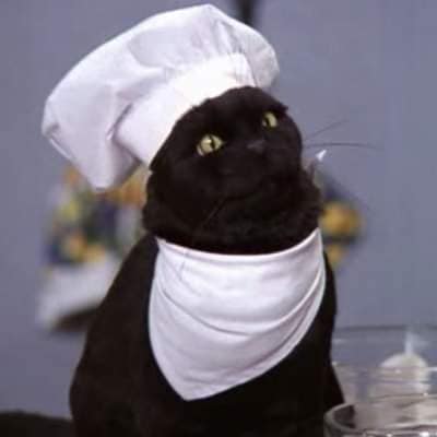 chilango - Los 17 mejores momentos de Salem en Sabrina, la bruja ...