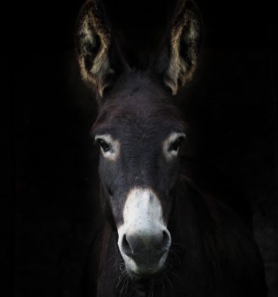 chilango - Témele a Dios con la leyenda de la mujer herrada