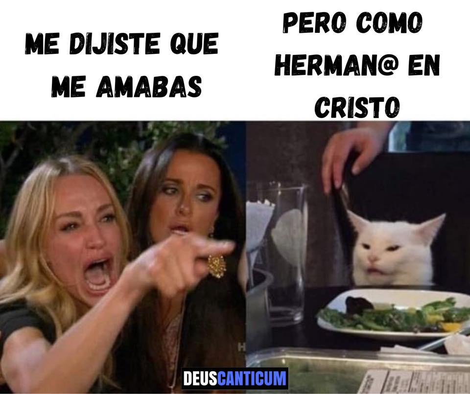 El Gato En La Mesa Y Sus Mejores Memes Para Alegrar Tu Semana Glucmx
