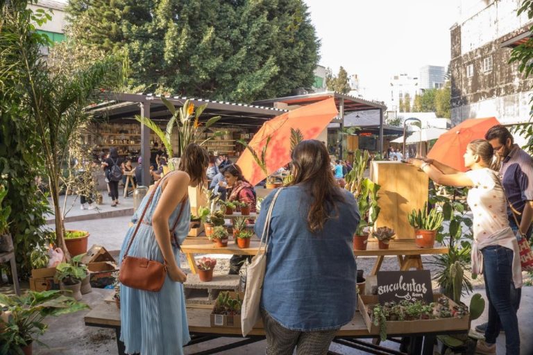 chilango - 🌿 Más de mil plantas en la 2da edición de Botánica Juárez