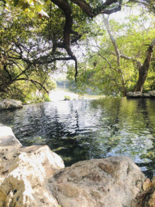 chilango - 7 aguas termales en México: naturaleza y relajación 🌲
