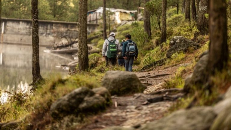 chilango - Reservas ecológicas y bosques para senderear en la CDMX ⛺🌲