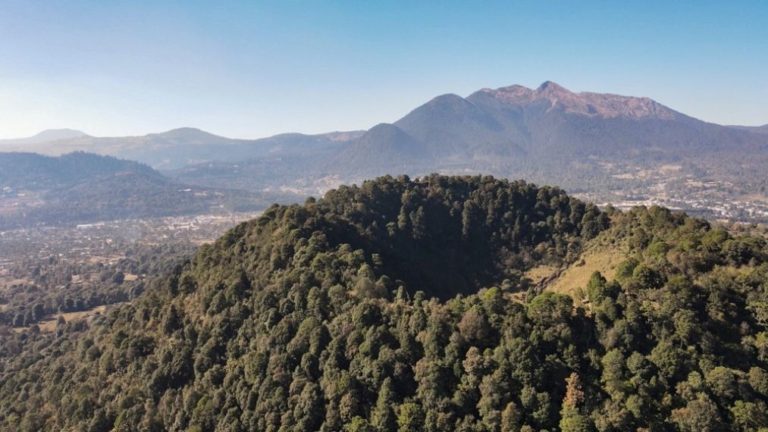 chilango - ¡Agarra monte! Guía para disfrutar el Ajusco