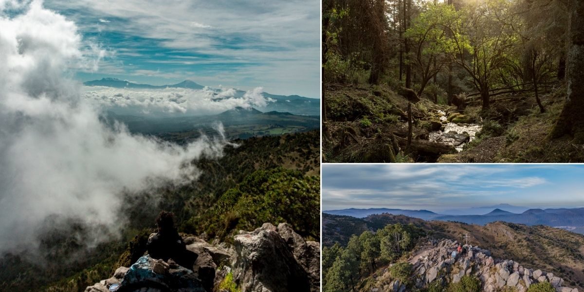 chilango - ¡Agarra monte! Guía para disfrutar el Ajusco