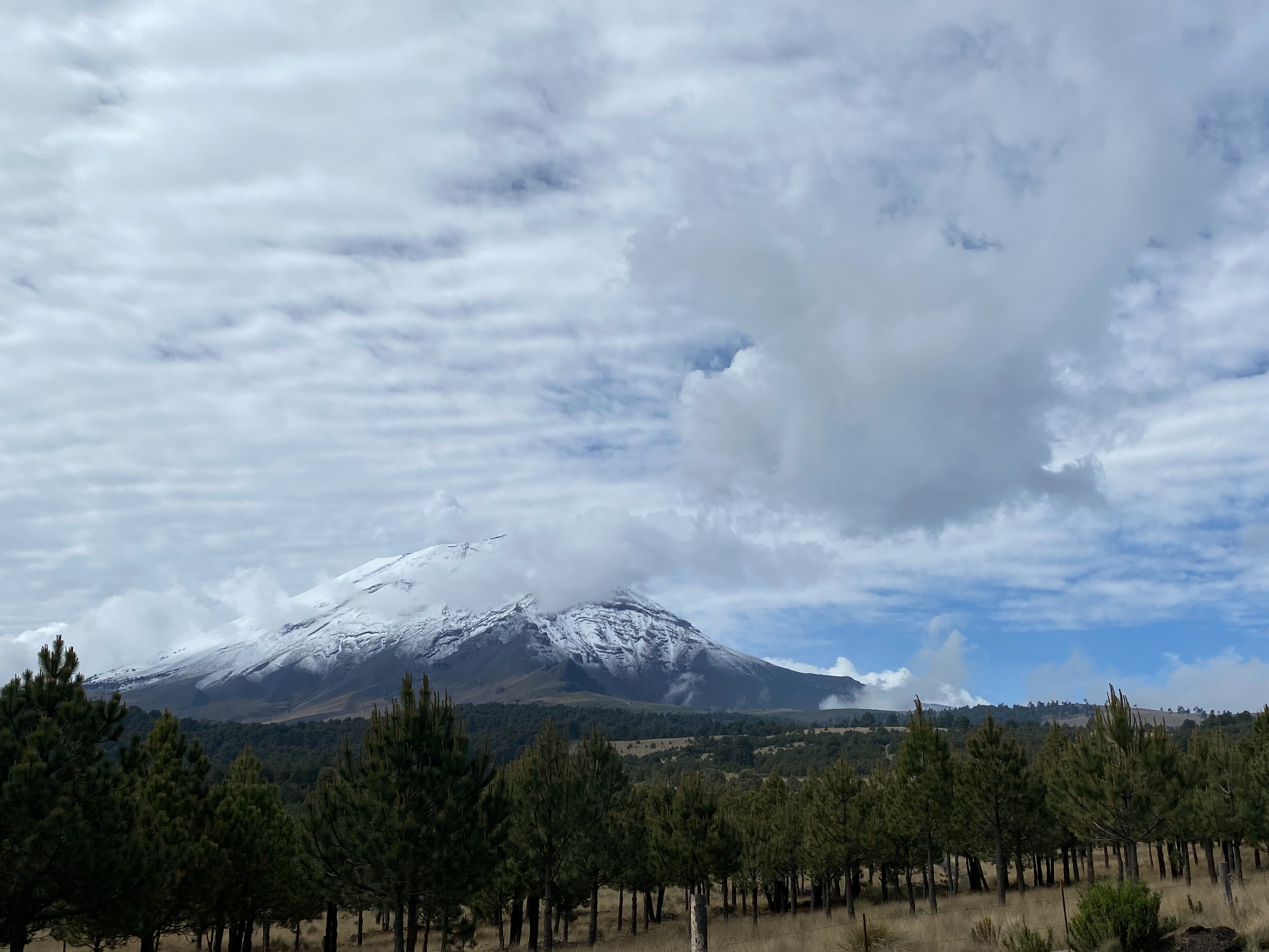 chilango - Bosques, reservas y montes para hacer senderismo cerca de ...