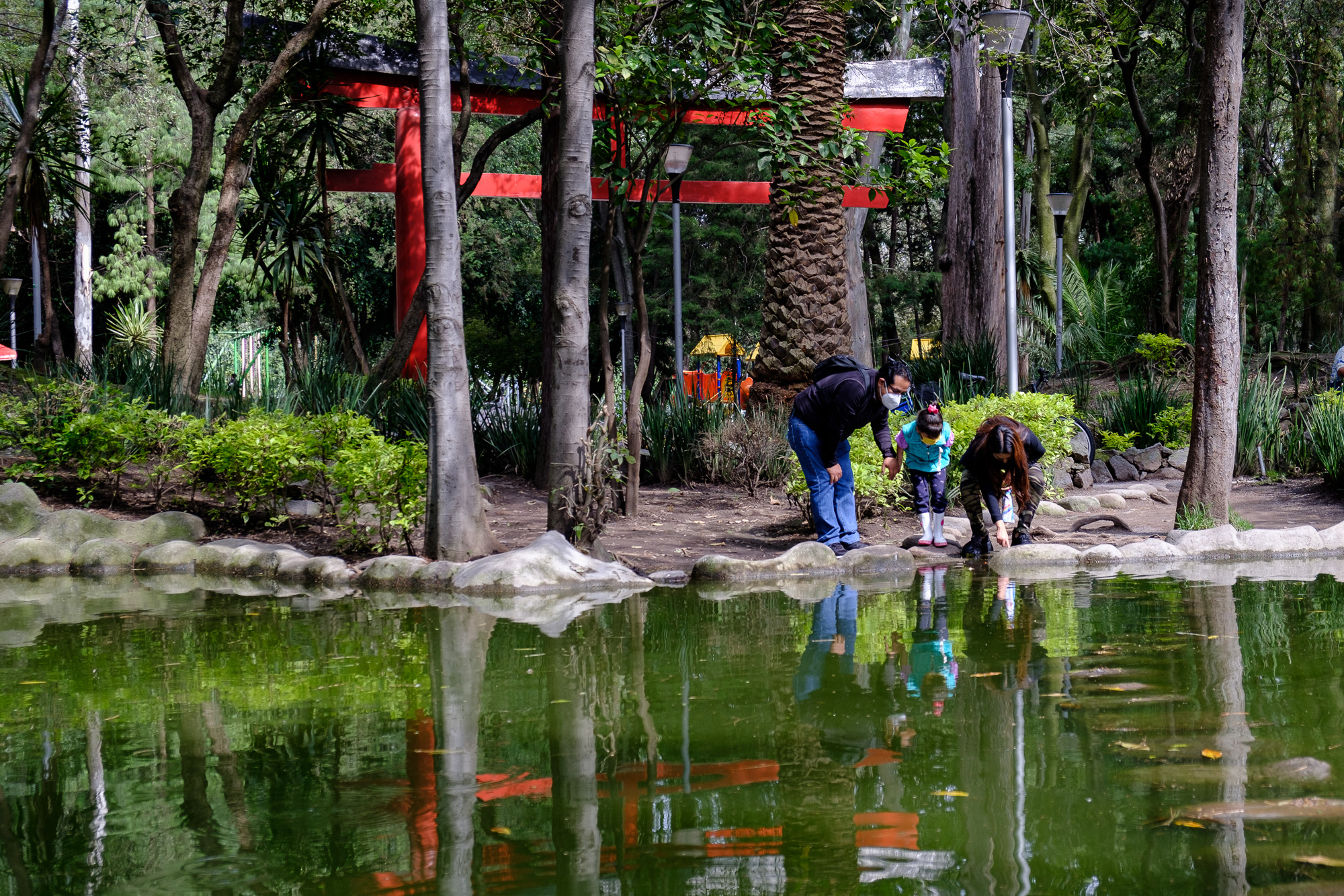chilango - Echa el rol romántico en estos 5 parques sureños de la CDMX 🌲🌺