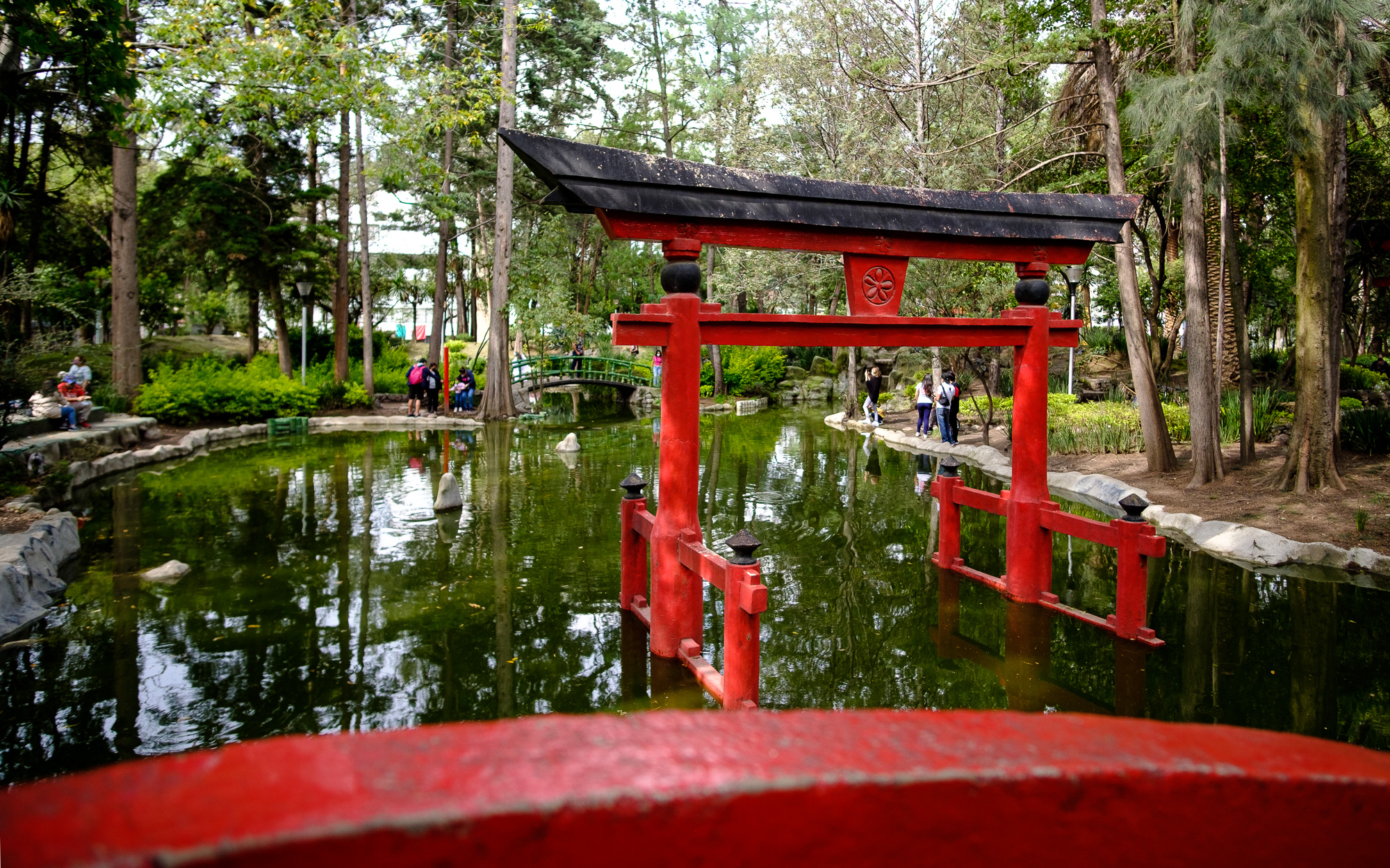 chilango - Echa el rol romántico en estos 5 parques sureños de la CDMX 🌲🌺