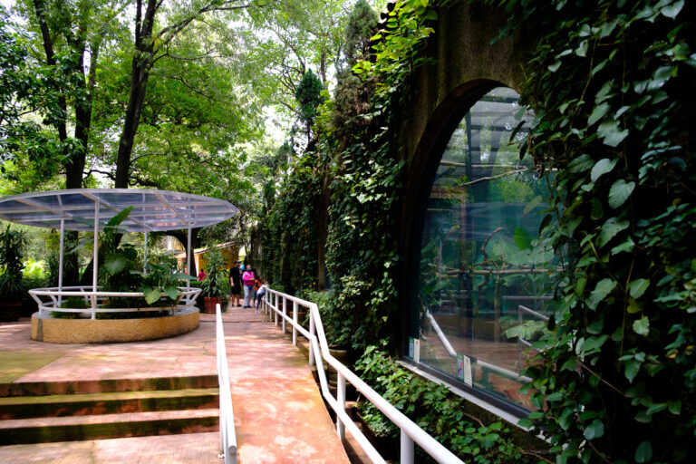 chilango - Echa el rol romántico en estos 5 parques sureños de la CDMX 🌲🌺