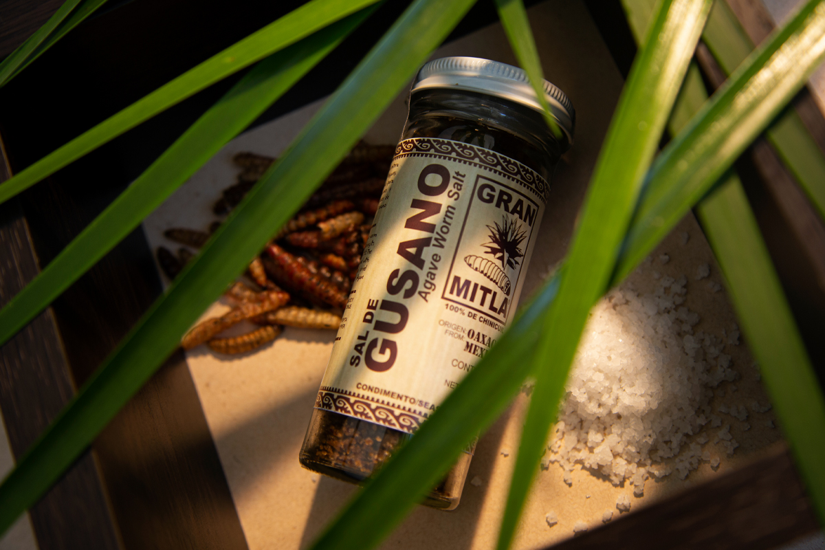 Chilango - ¿Qué es la sal de gusano? Te lo explicamos de dónde viene y ...