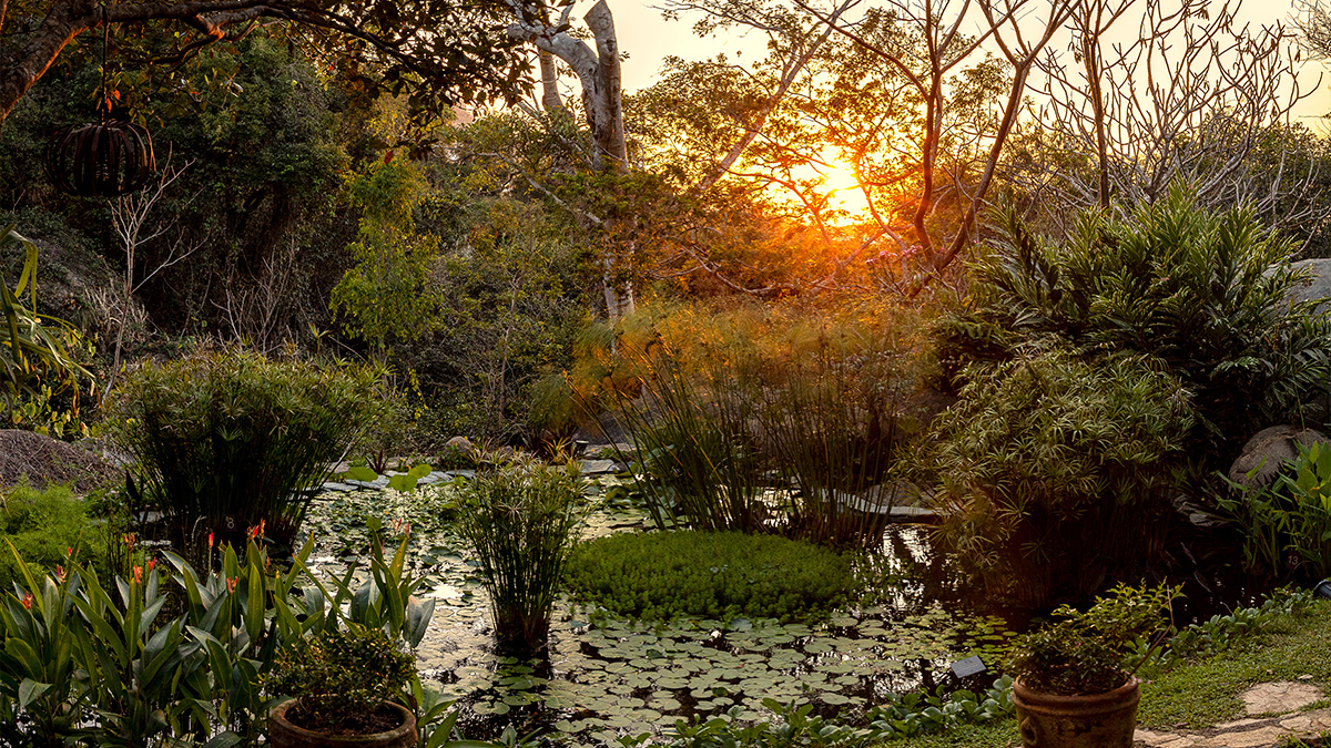 Chilango - Jardines botánicos de la CDMX que nunca dejaremos de amar