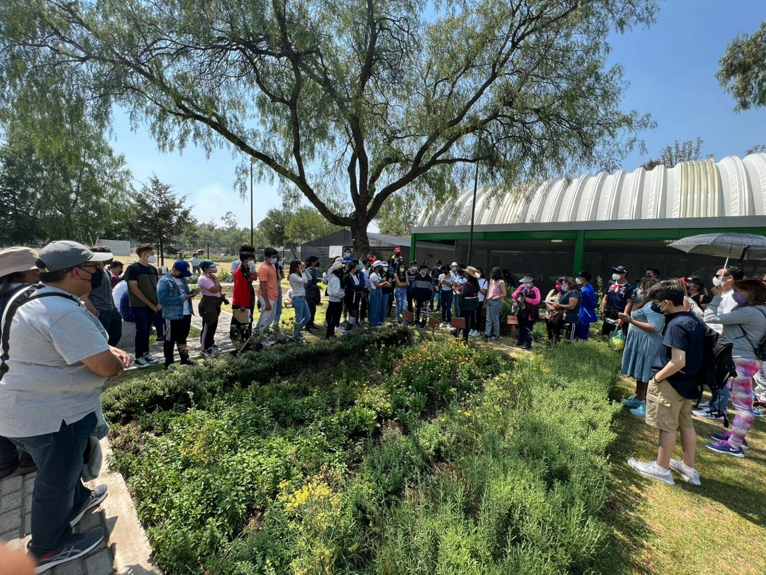 chilango - Actividades gratuitas que puedes hacer en el Bosque de San ...