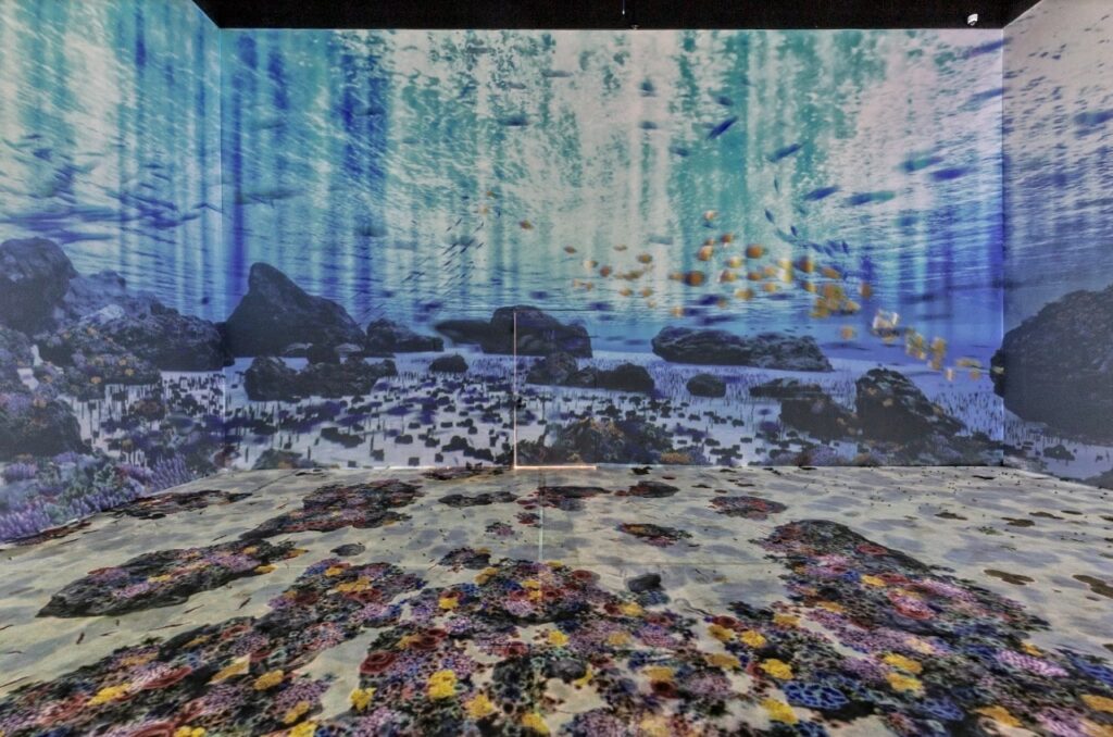 Así es el acuario virtual 360 grados del Barco Utopía - Lado.mx