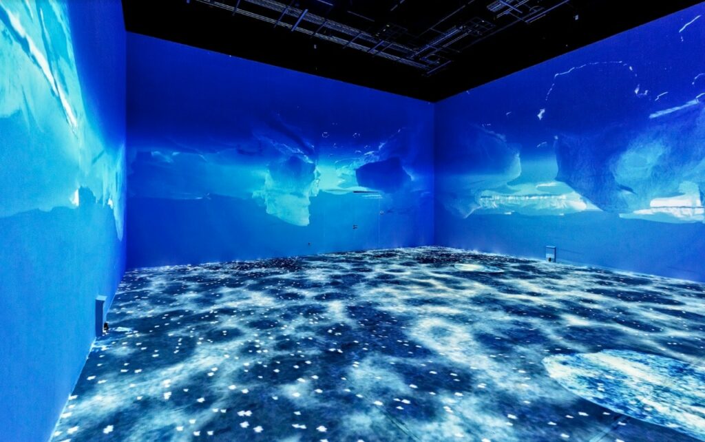 Así es el acuario virtual 360 grados del Barco Utopía - Lado.mx