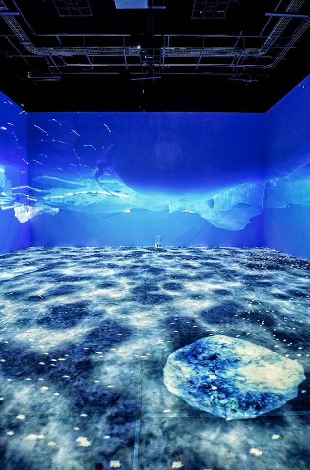 Así es el acuario virtual 360 grados del Barco Utopía - Lado.mx