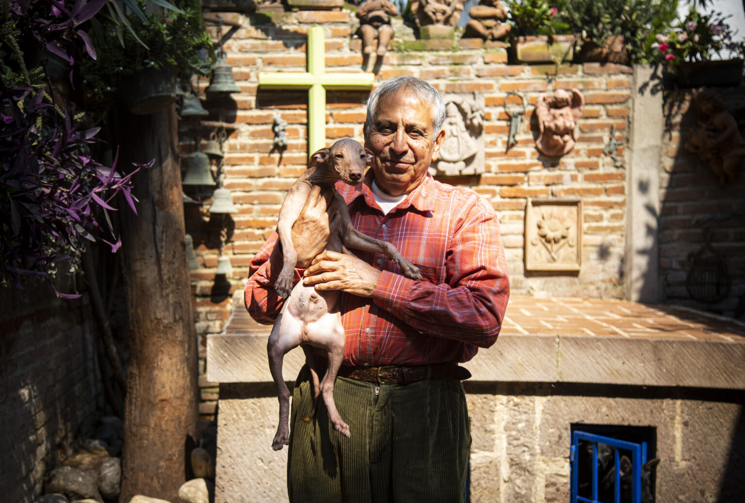 chilango - Conoce Xolos Tarango, el santuario de los Xoloitzcuintles en ...