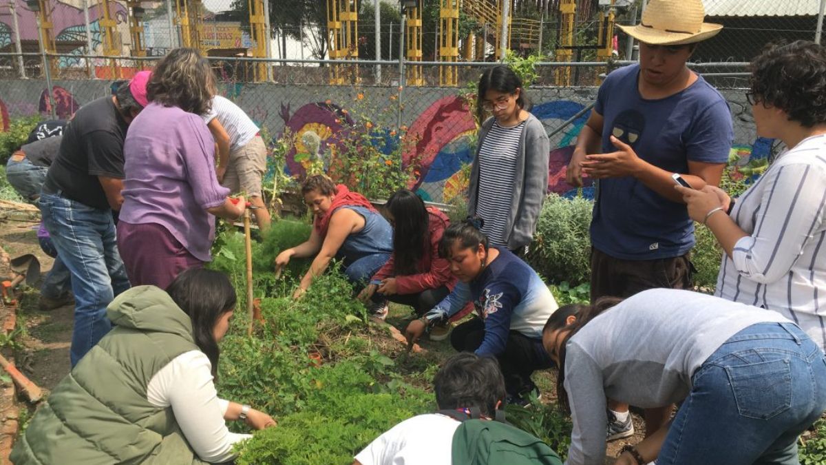 chilango - El Huerto Tlatelolco te invita al Cultiva Fest, habrá ...
