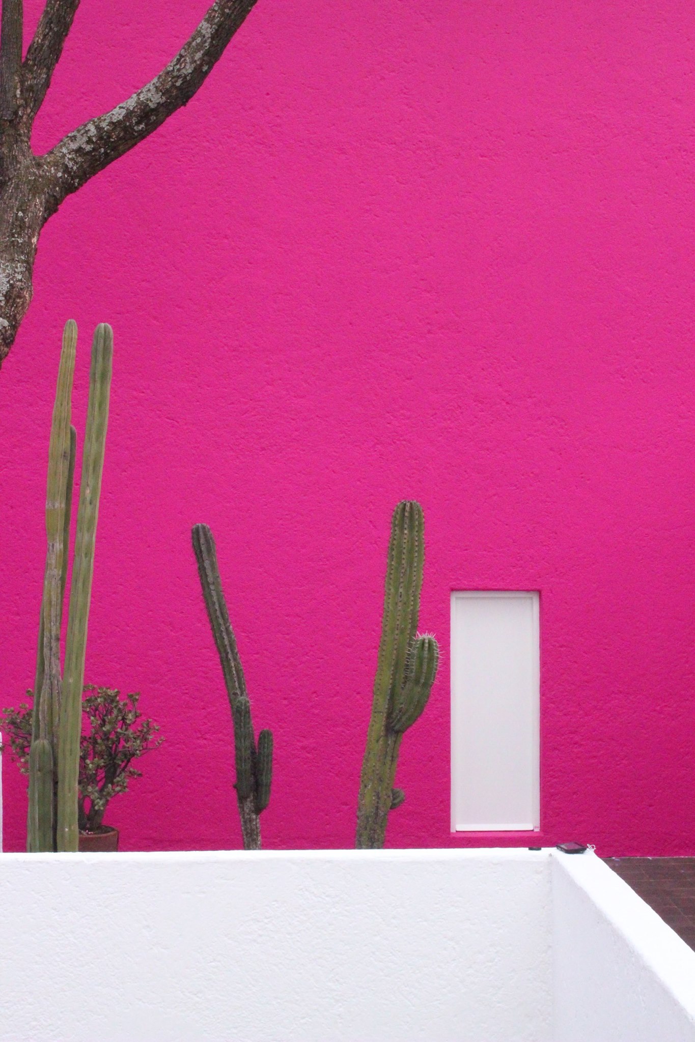 Chilango - Conoce Casa Gilardi, la última obra de Barragán