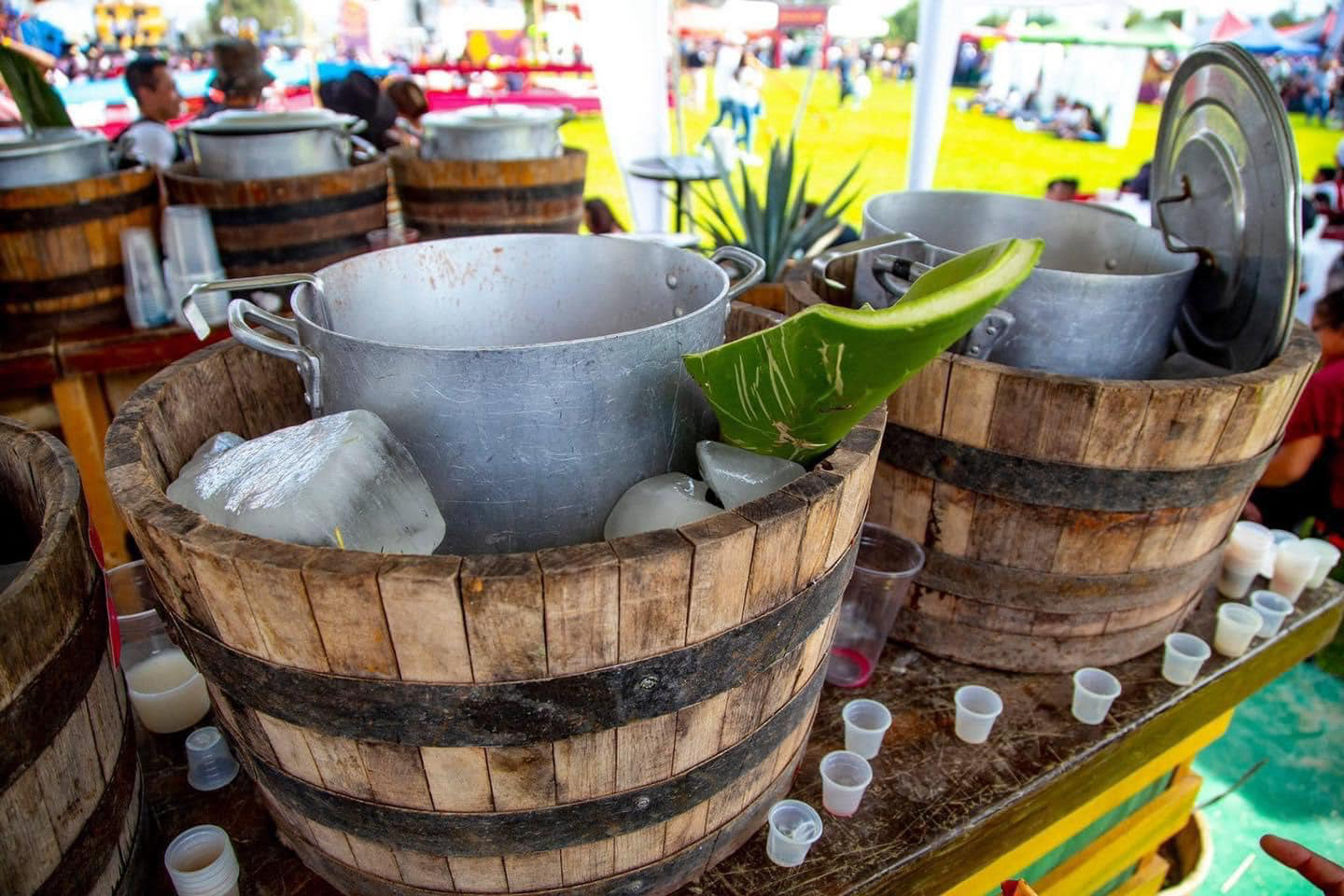 Chilango - Pulcata Fest llega a Teotihuacán con más de 150 sabores de ...