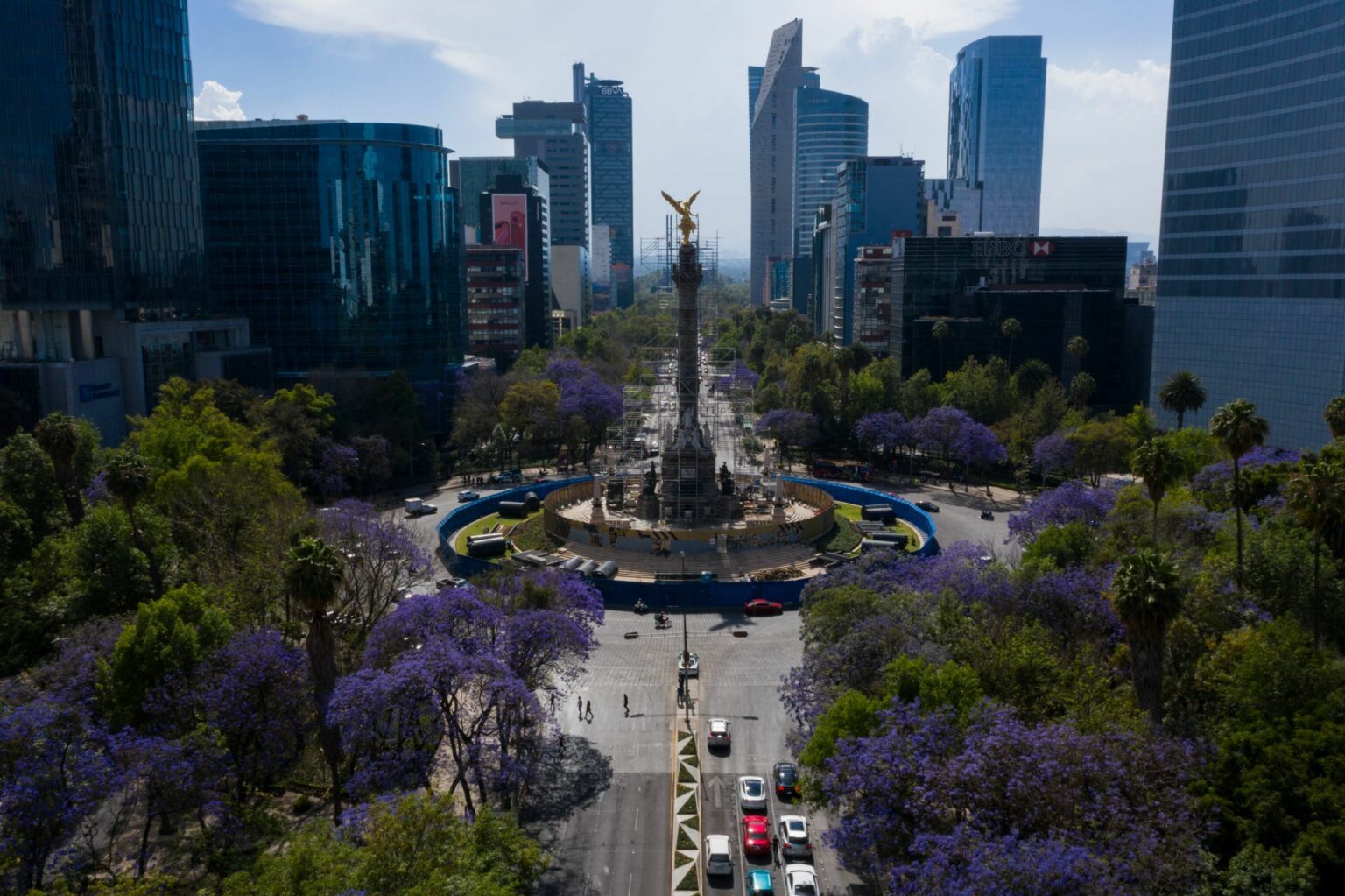 chilango - Jacarandas en CDMX: Lugares para tomar las mejores fotos