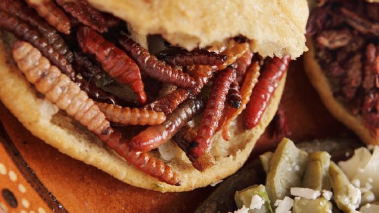 Chilango - Lánzate al festival de insectos comestibles Bichópolis en CDMX