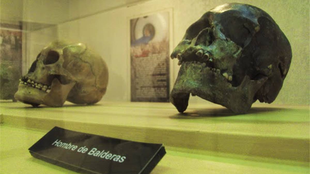 ¡Un craneo en el Metro! El histórico descubrimiento del Hombre de ...