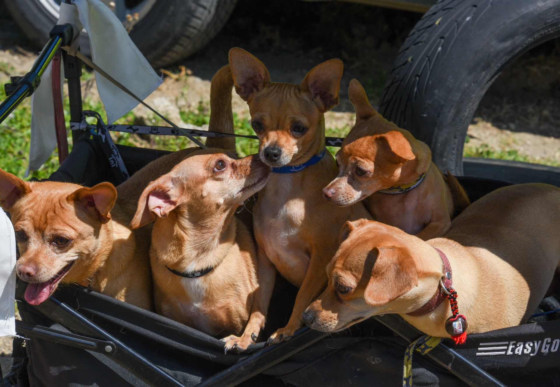 Chilango - Eventos de julio en CDMX: bailes, conciertos, gastronomía ...