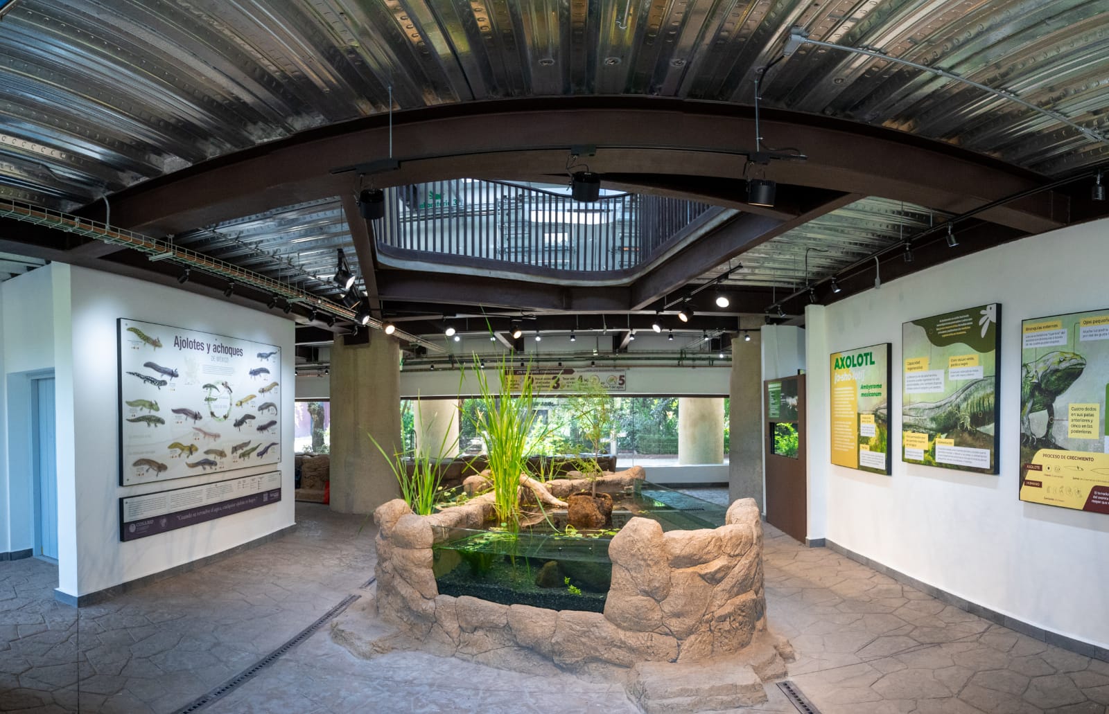 Chilango - Historia del Zoológico de Chapultepec: antecedentes ...