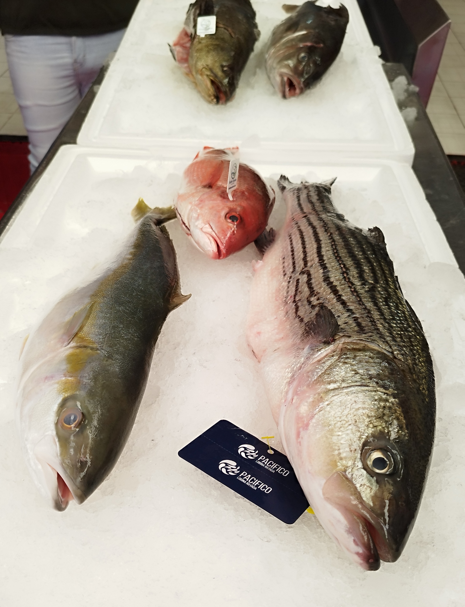 Chilango - ¿Cuáles son las características de un pescado fresco?