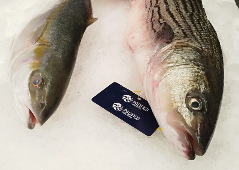 Chilango - ¿Cuáles son las características de un pescado fresco?