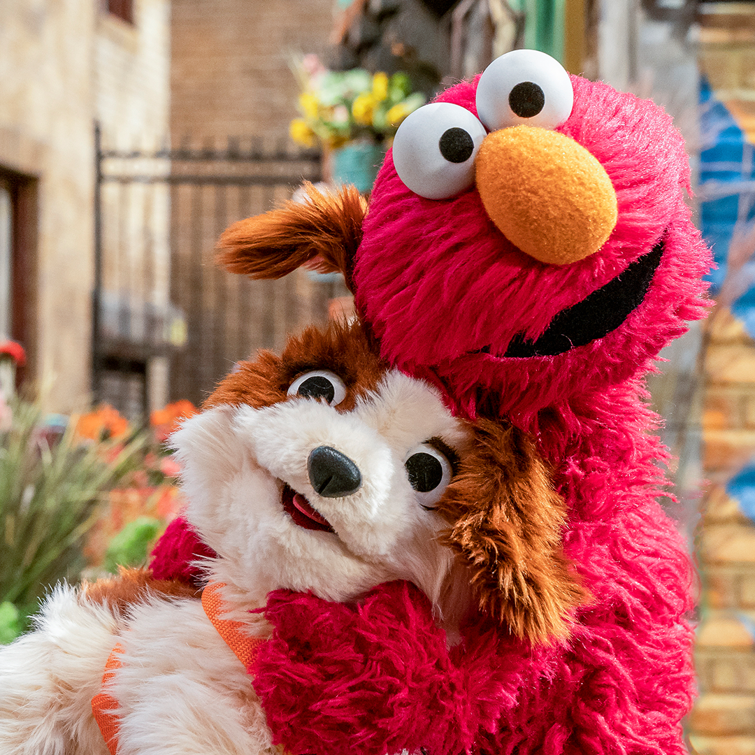 Plaza Sésamo en CDMX: Conoce a Elmo, Lola, Abelardo y compañía, ¡es ...