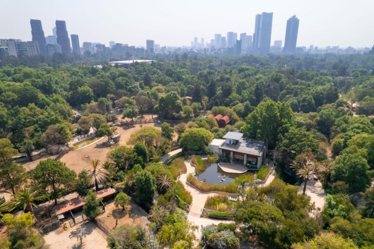 Chilango - Zoológico de Chapultepec: horario, costo y lo que debes saber