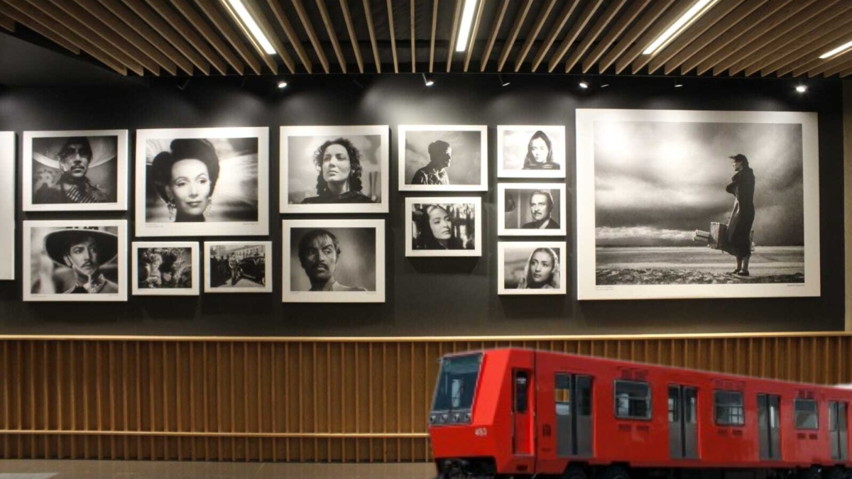 Chilango - Cineteca Nacional de las Artes: cómo llegar, cartelera ...