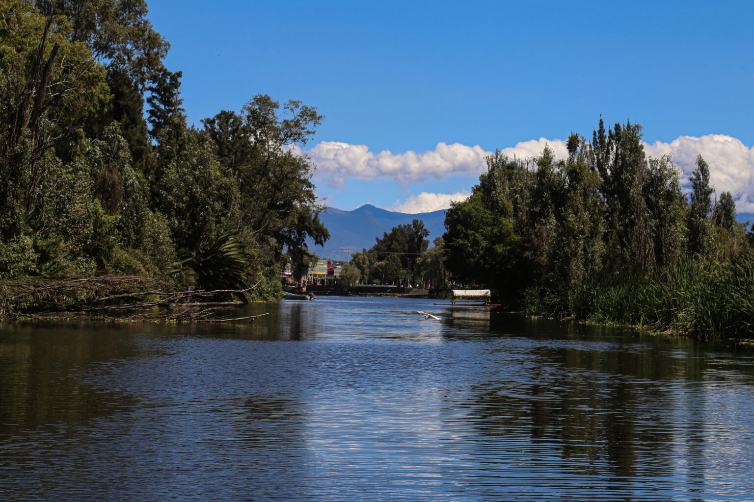 Chilango - Trajineras en CDMX: Lago de los Reyes Aztecas vs Xochimilco