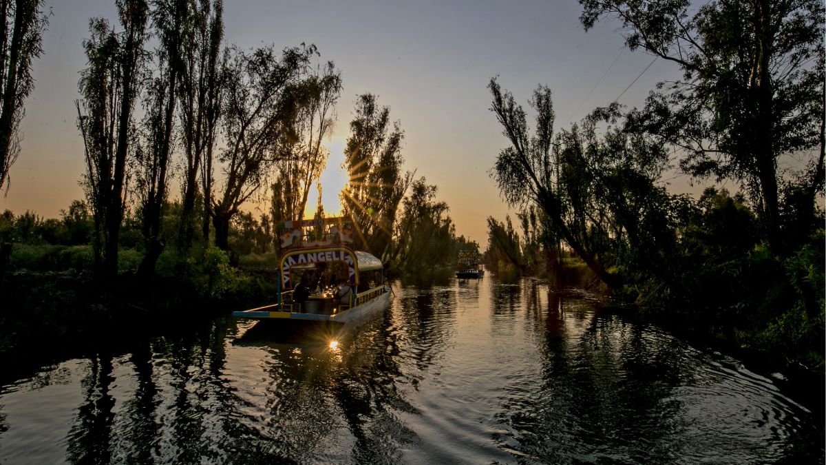chilango - ¡Xochimilco pone la casa! Cáele a la fiesta temática por Día ...