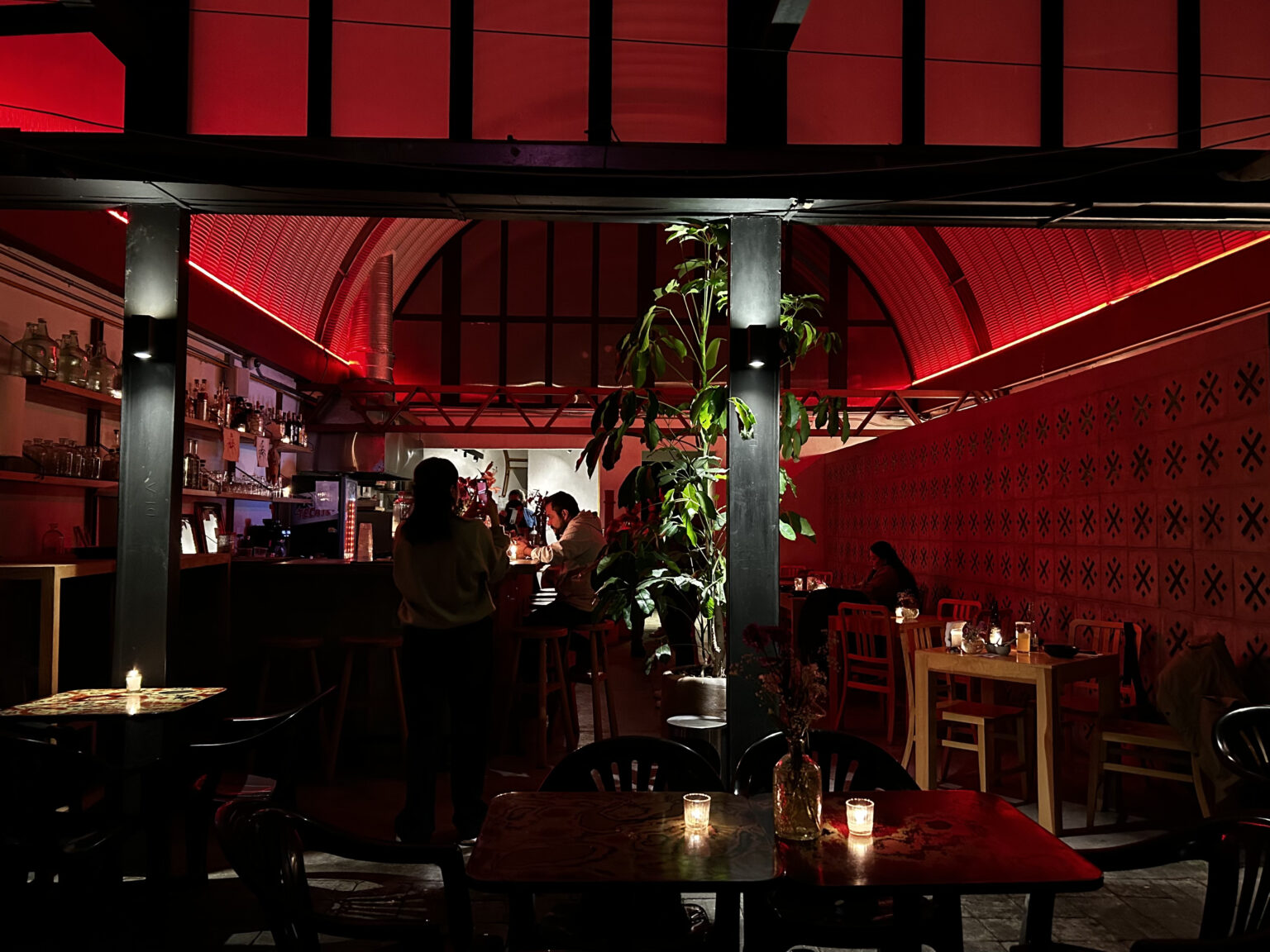 Chilango - Reclusa: cocteles, comida desenfadada y galería de arte