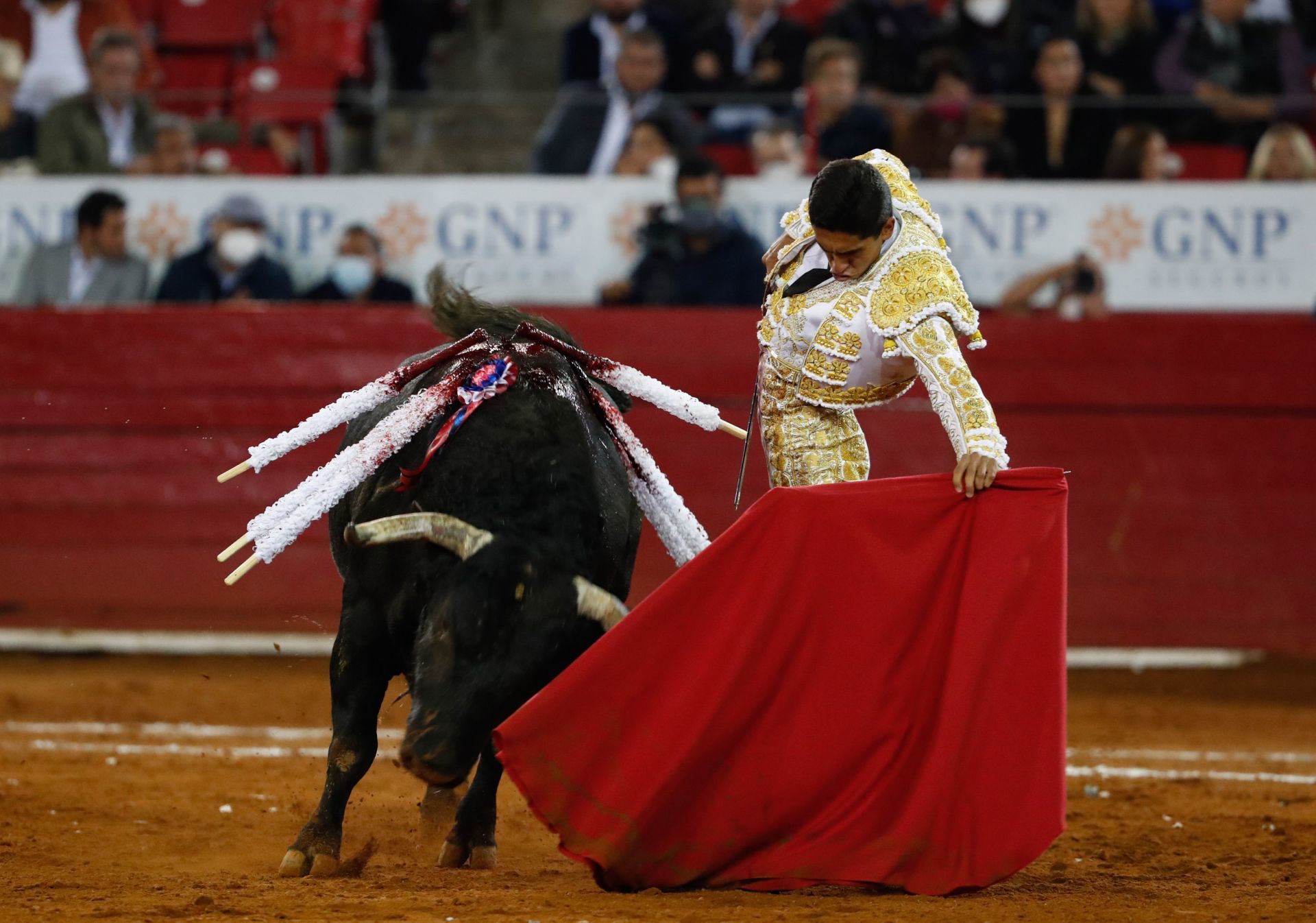 Chilango - Plaza México: regresan corridas de toros a CDMX