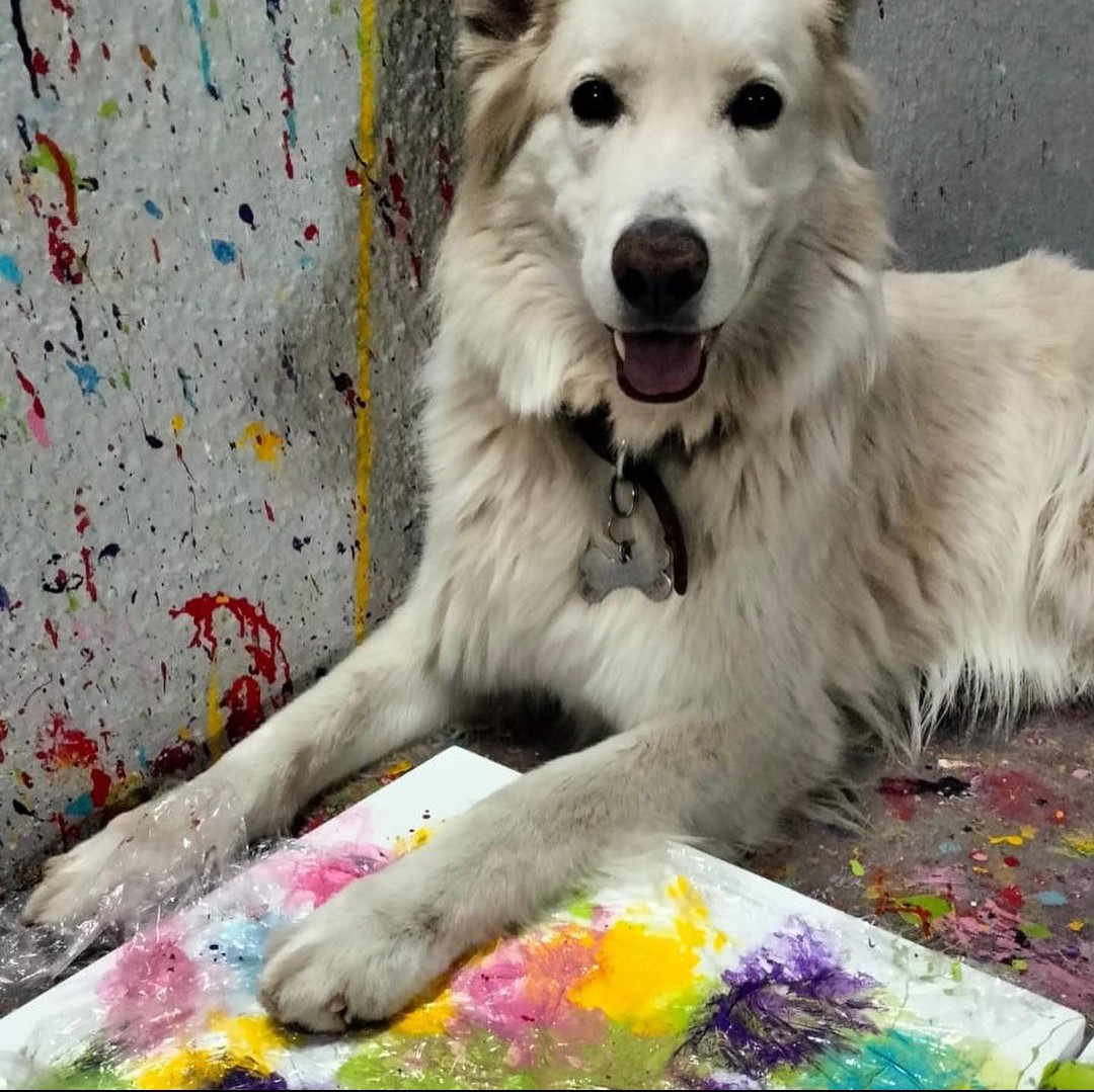 Chilango - Saca el artista que llevas dentro: Experiencia de pintura Splart