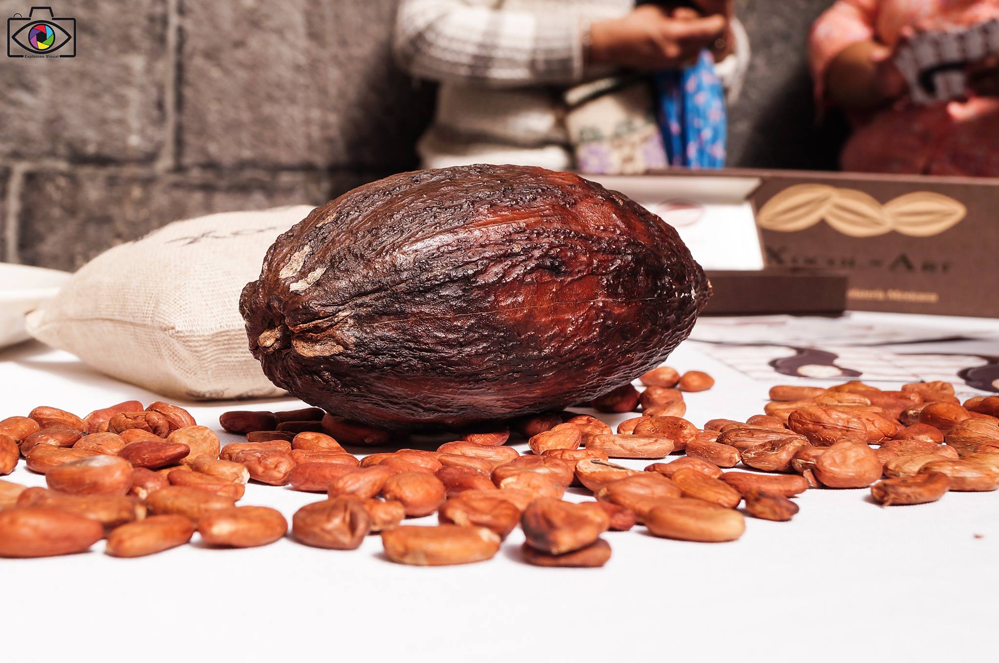 Chilango - Café y Chocolate Fest Edición Primavera: fecha, lugar y programa