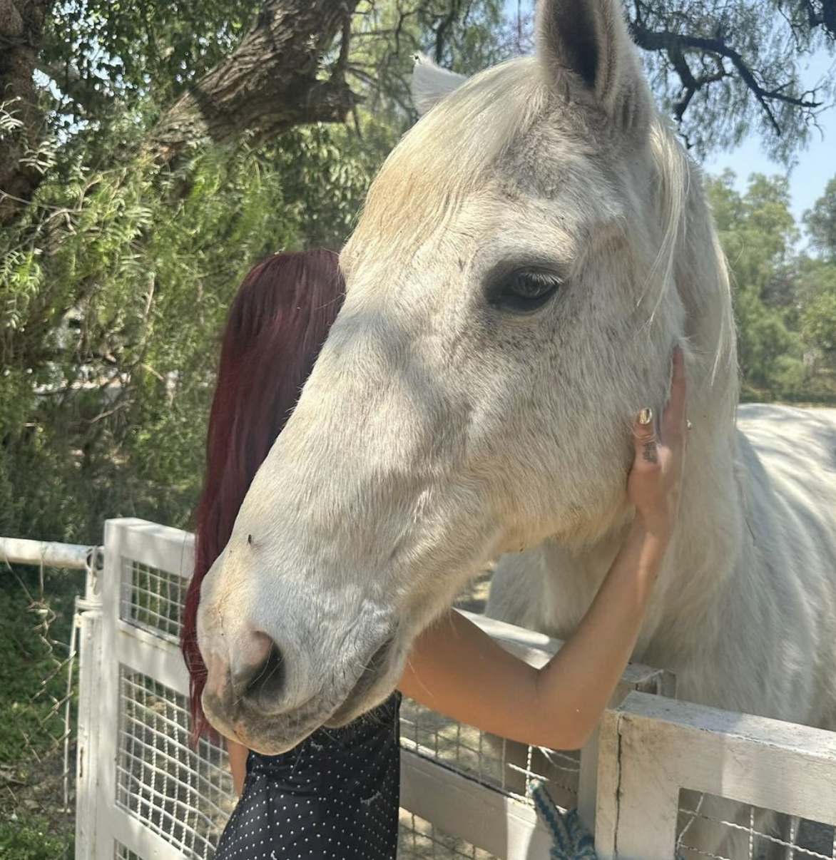 Chilango - Dua Lipa en CDMX: Estos son todos los lugares que ha visitado