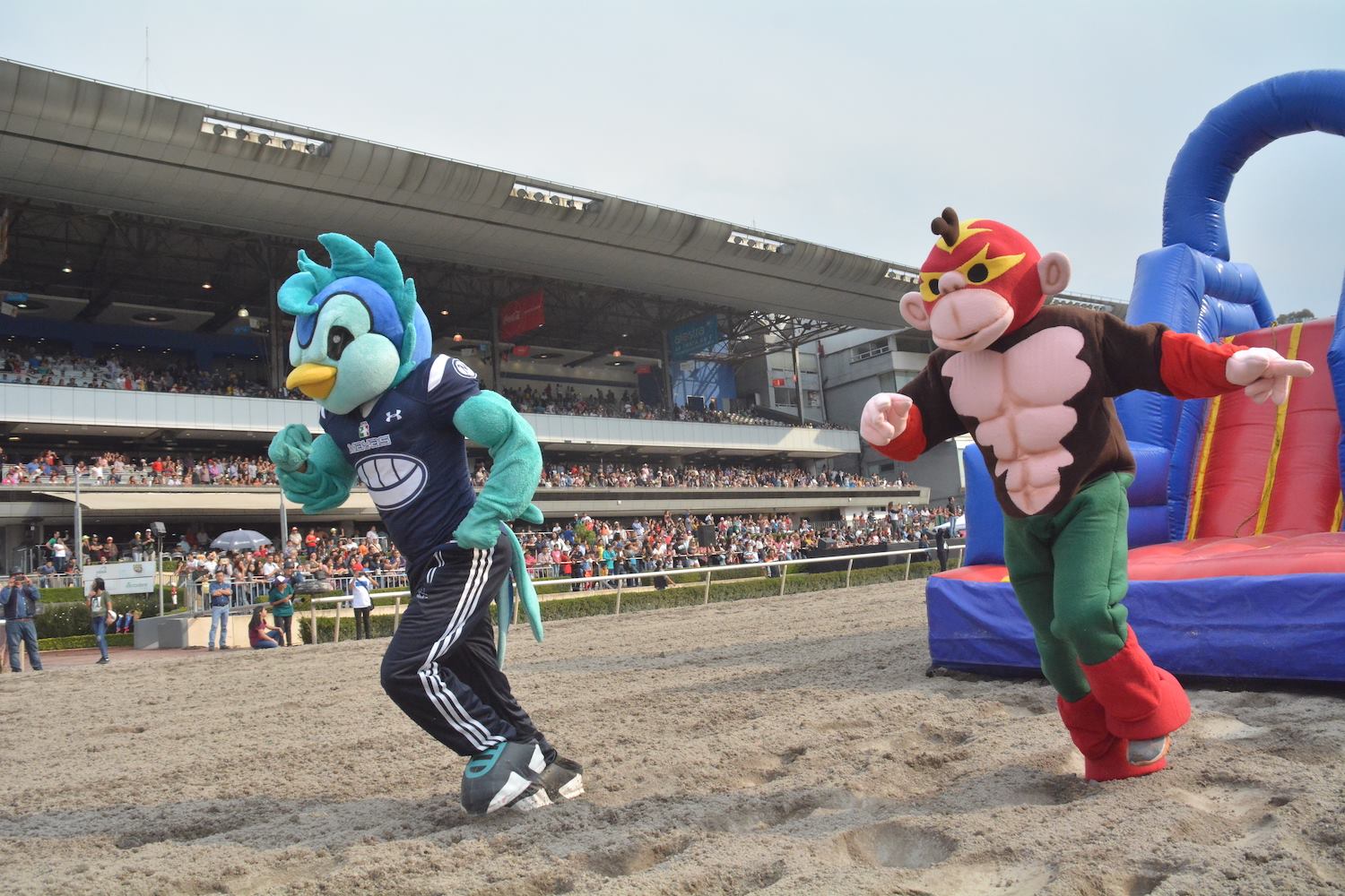 Chilango - Carrera de Botargas 2024 en el Hipódromo de las Américas