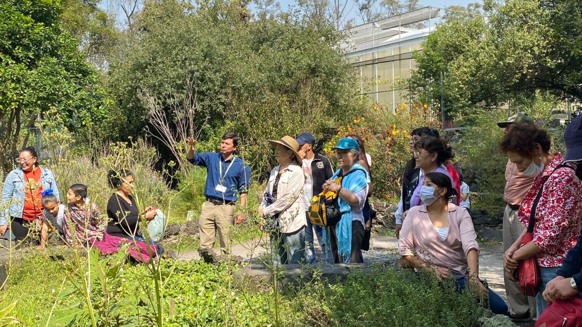 Chilango - ¿Cuándo es el Día de los Jardines Botánicos?