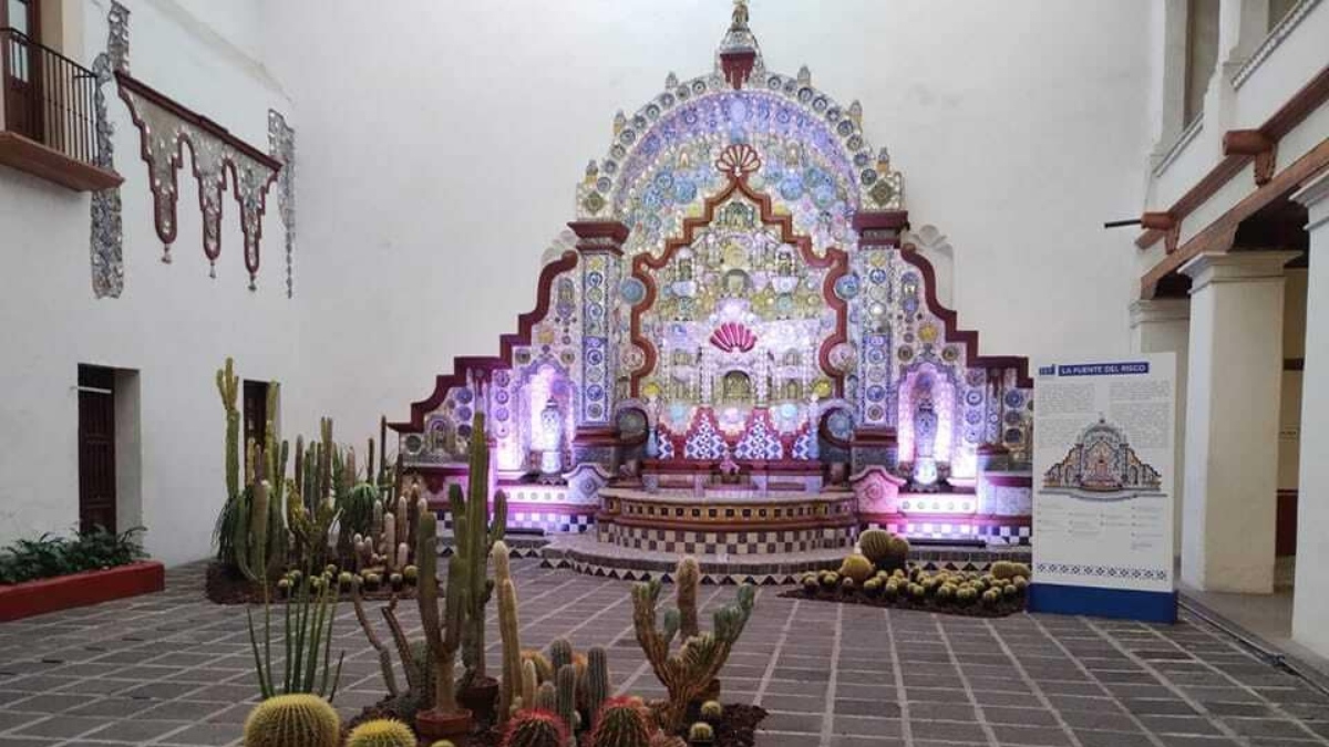 Chilango - Museo del Risco: ¿cuándo es el festival de las cactáceas?