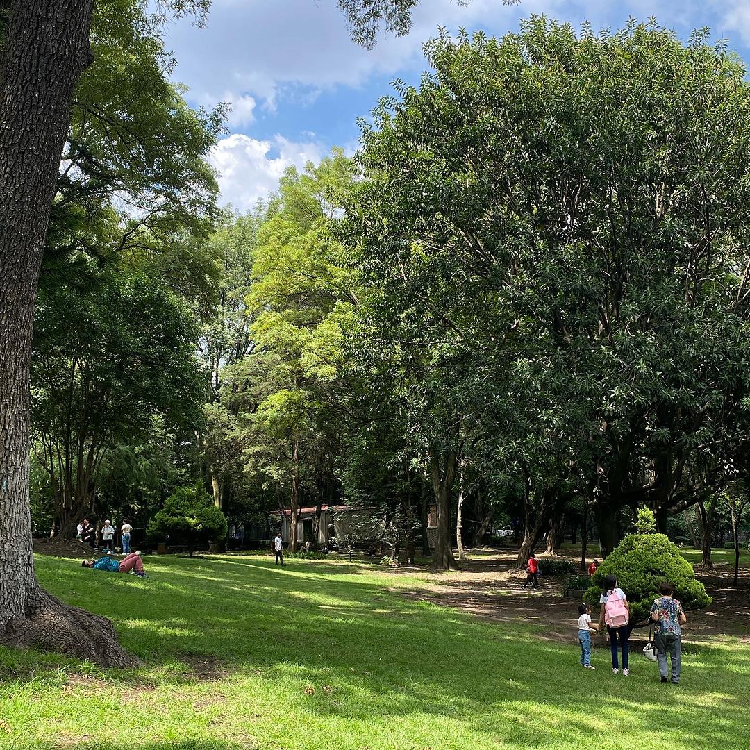 Chilango - Parque Ecológico de Tlalpan ahora es Bosque Urbano de CDMX