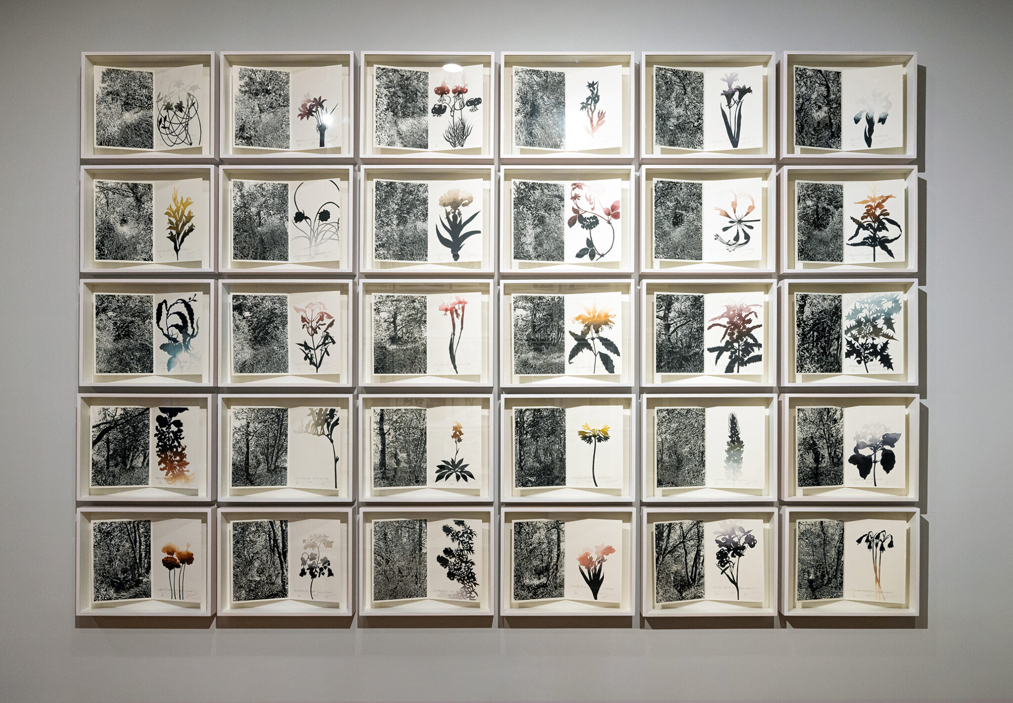 Chilango - Jan Hendrix presenta su exposición Atlas en Palacio de Iturbide